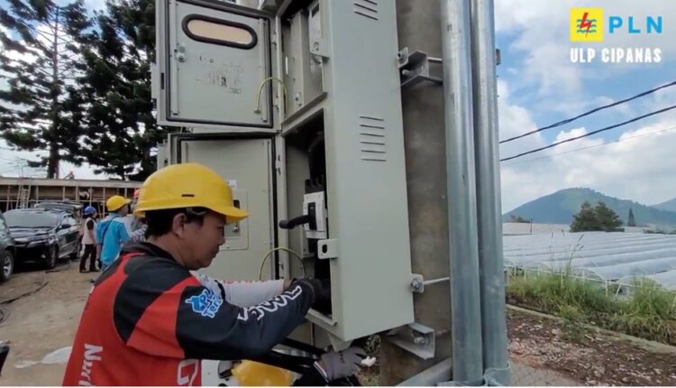 PLN Pasang Baru dan Peningkatan Daya Listrik Mendukung Pertumbuhan Perkebunan Stroberi di ...